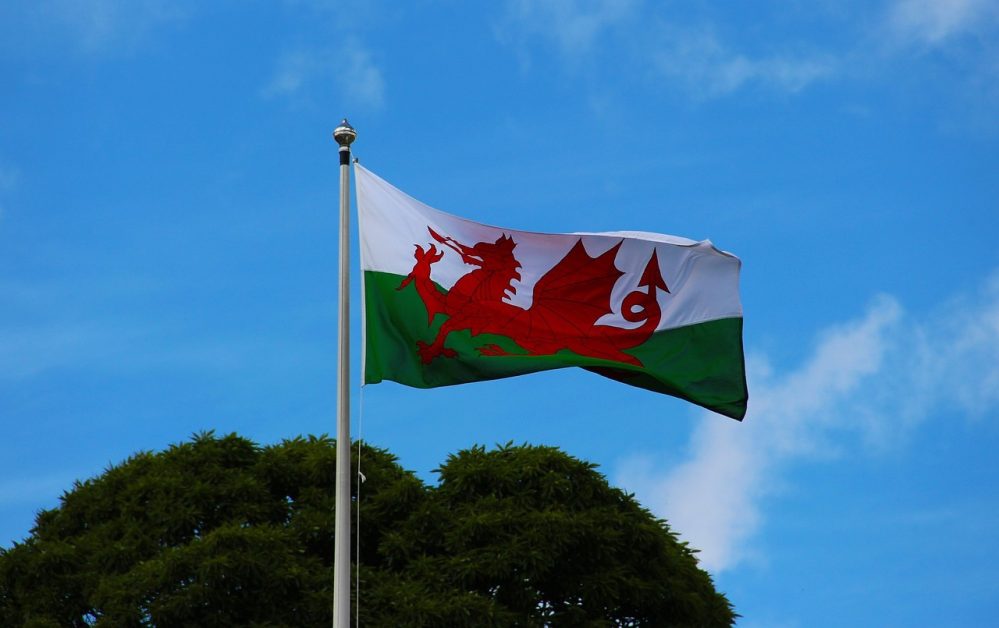 Welsh Government must act so Cymraeg is “lived, not just learned ...