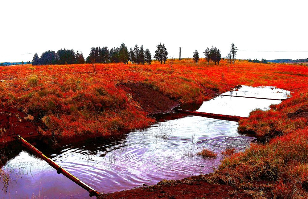 Peatlands project brought long term benefits for people and planet ...