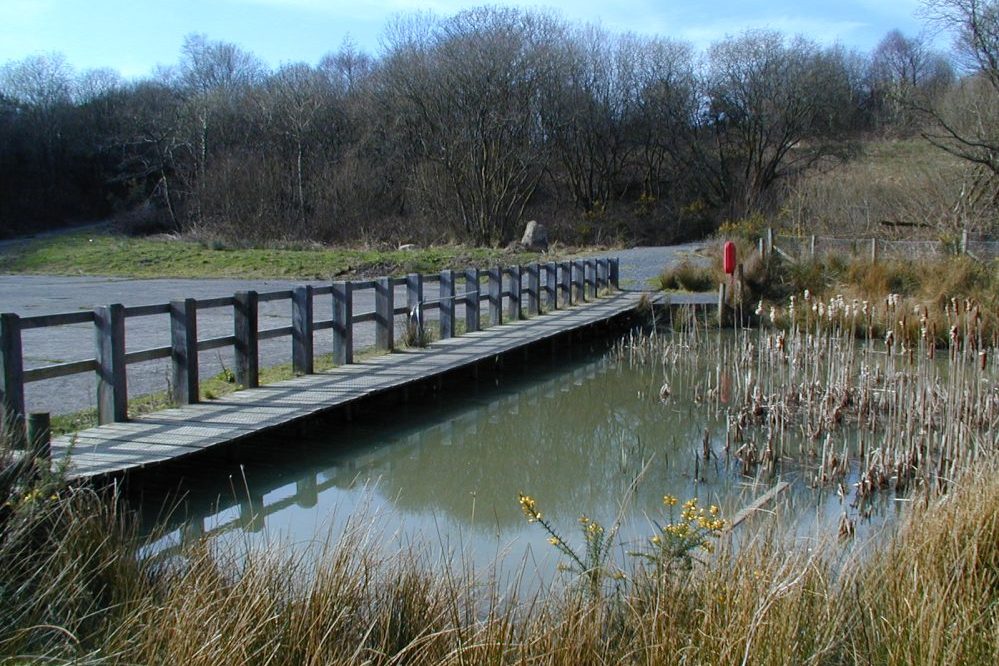 Ynysdawela Nature Park declared a local nature reserve - Herald.Wales