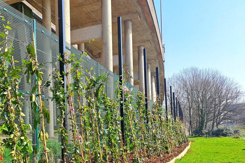 Neath Port Talbot wins funding from UK-wide ‘Nature Towns’ project ...
