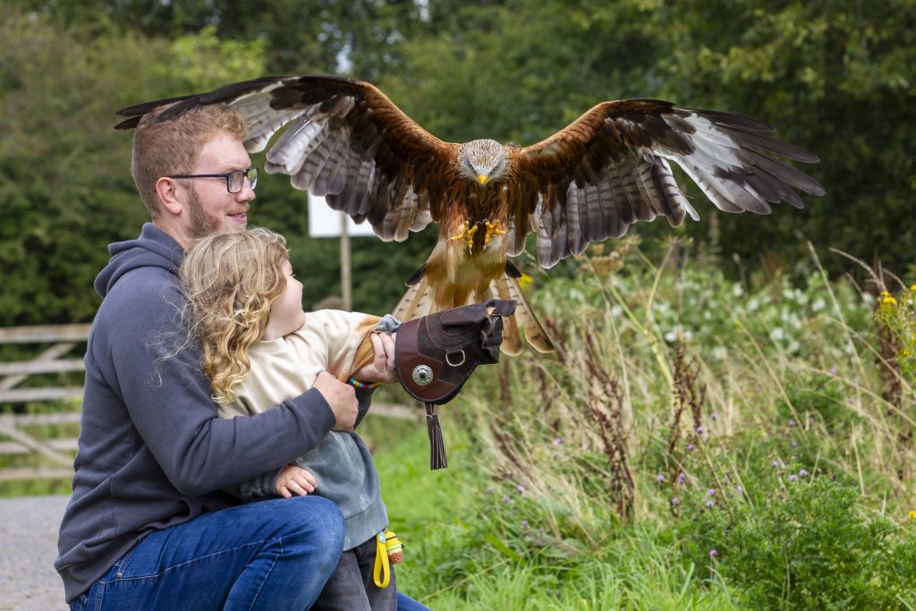 Boost for West Wales as British Bird of Prey Centre to open new visitor ...