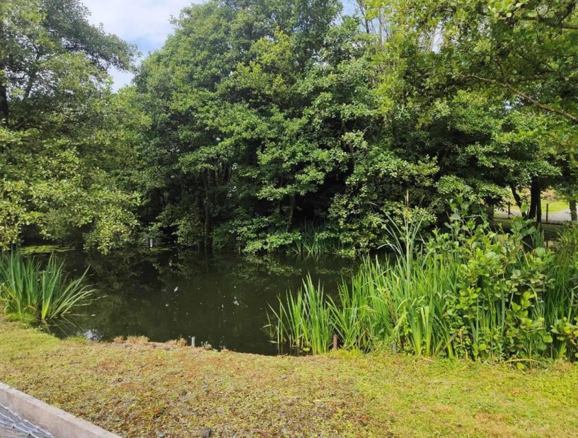 Otters, squirrels, hares and hedgehogs considered in Anglesey caravan ...