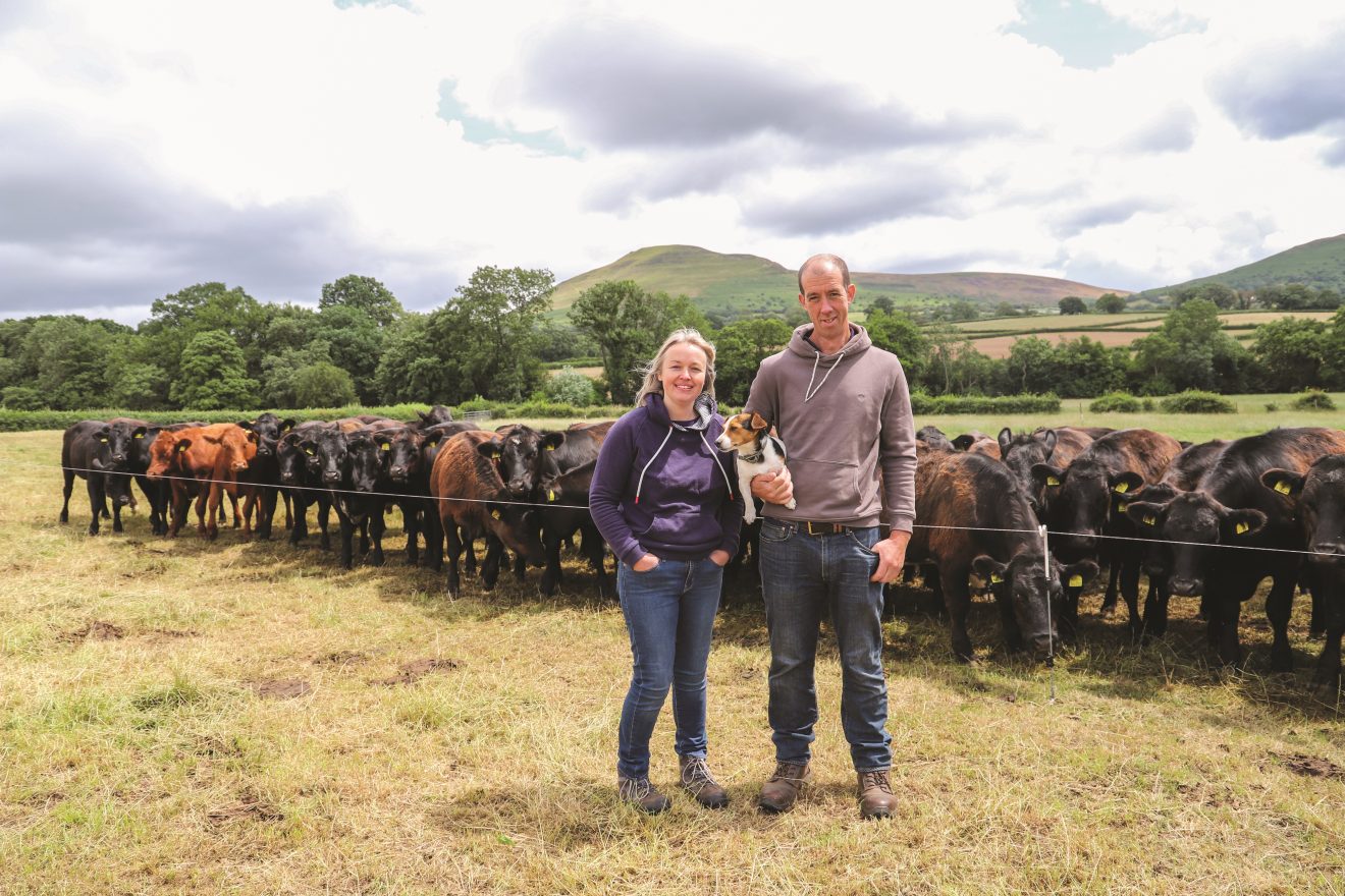 Farming Connect expands the number of September farm walks to 22 ...