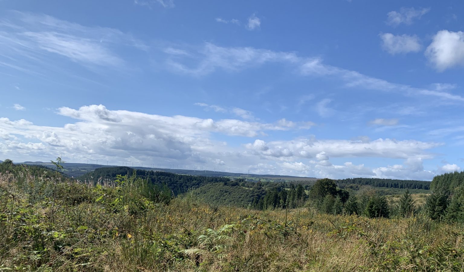 Informal public consultation launched for Glyn Cothi Wind Farm near ...