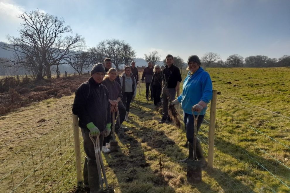 Cardiff’s urban forest set to grow again: 30,000 new trees to be ...