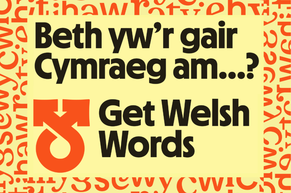 New website launched to help people Get Welsh Words - Herald.Wales