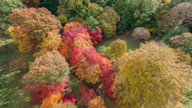A spectacular bird’s eye view of autumn in Wales - Herald.Wales