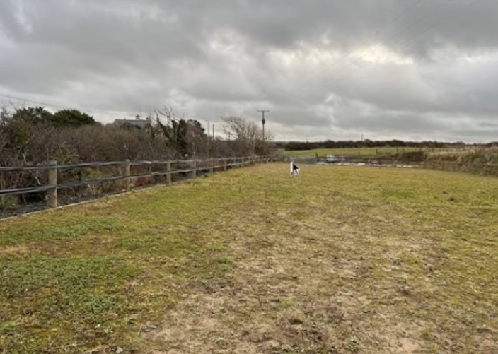Retrospective permission granted for horse sand school at Nolton Haven ...