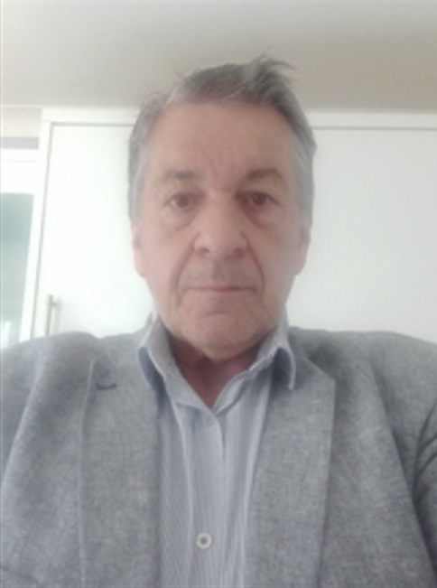 Digital ID critic claims council debate may have influenced government ...