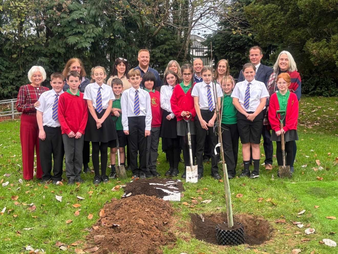 Rhiwbeina Primary School plants Sycamore Gap Tree sapling ‘Tree of Hope ...