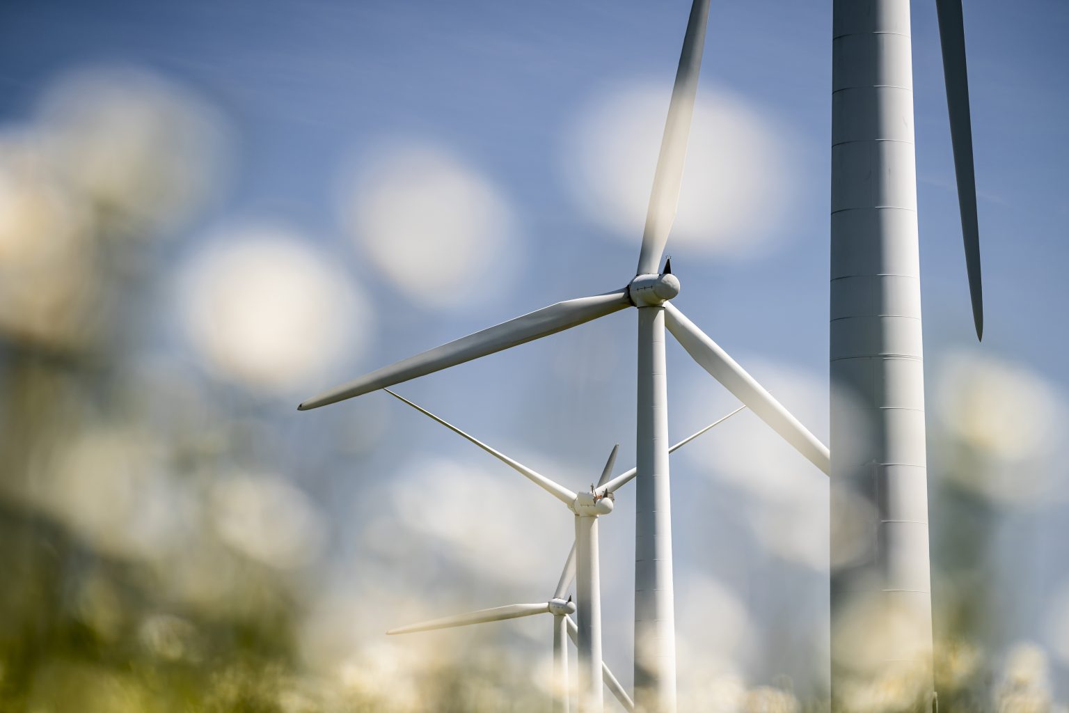 Bute Energy launches first round of public consultation for Lan Fawr ...