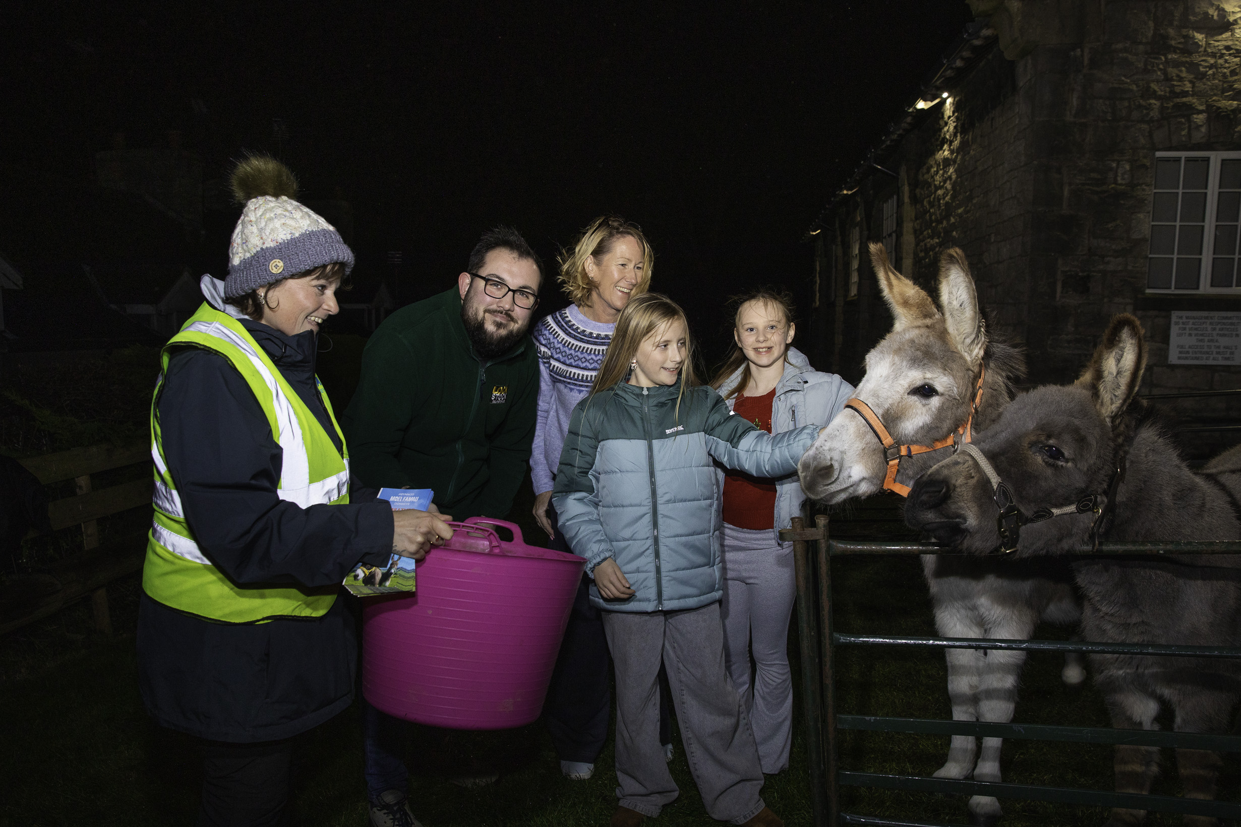 Donkey delight as rescue duo bring festive magic to Denbighshire school ...