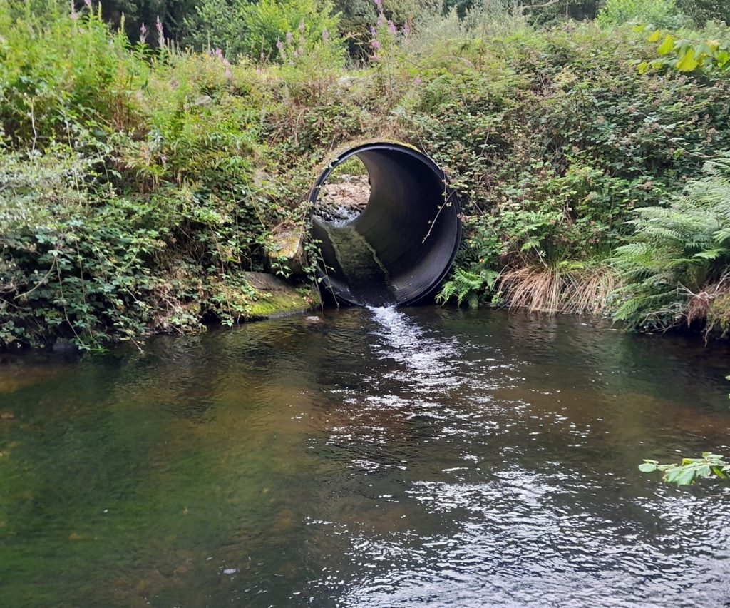 Culvert removal improves river habitat for migratory fish - Herald.Wales