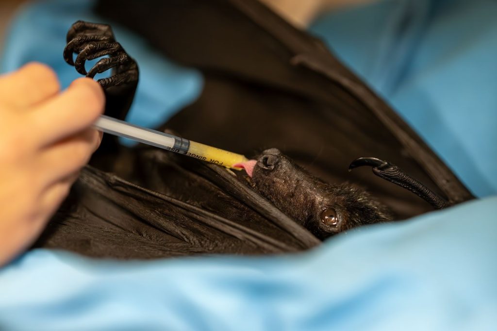 The top 10 Welsh sport stars - Herald.Wales