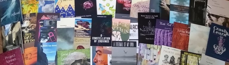 International Poetry Book Awards launch 2026 with expanded prizes ...