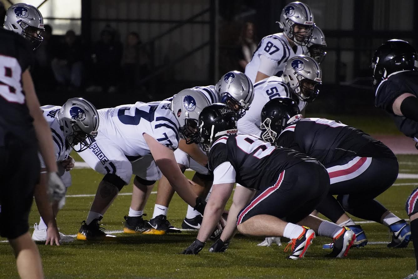 Cardiff Cobras celebrate historic win over SGS Pride - Herald.Wales