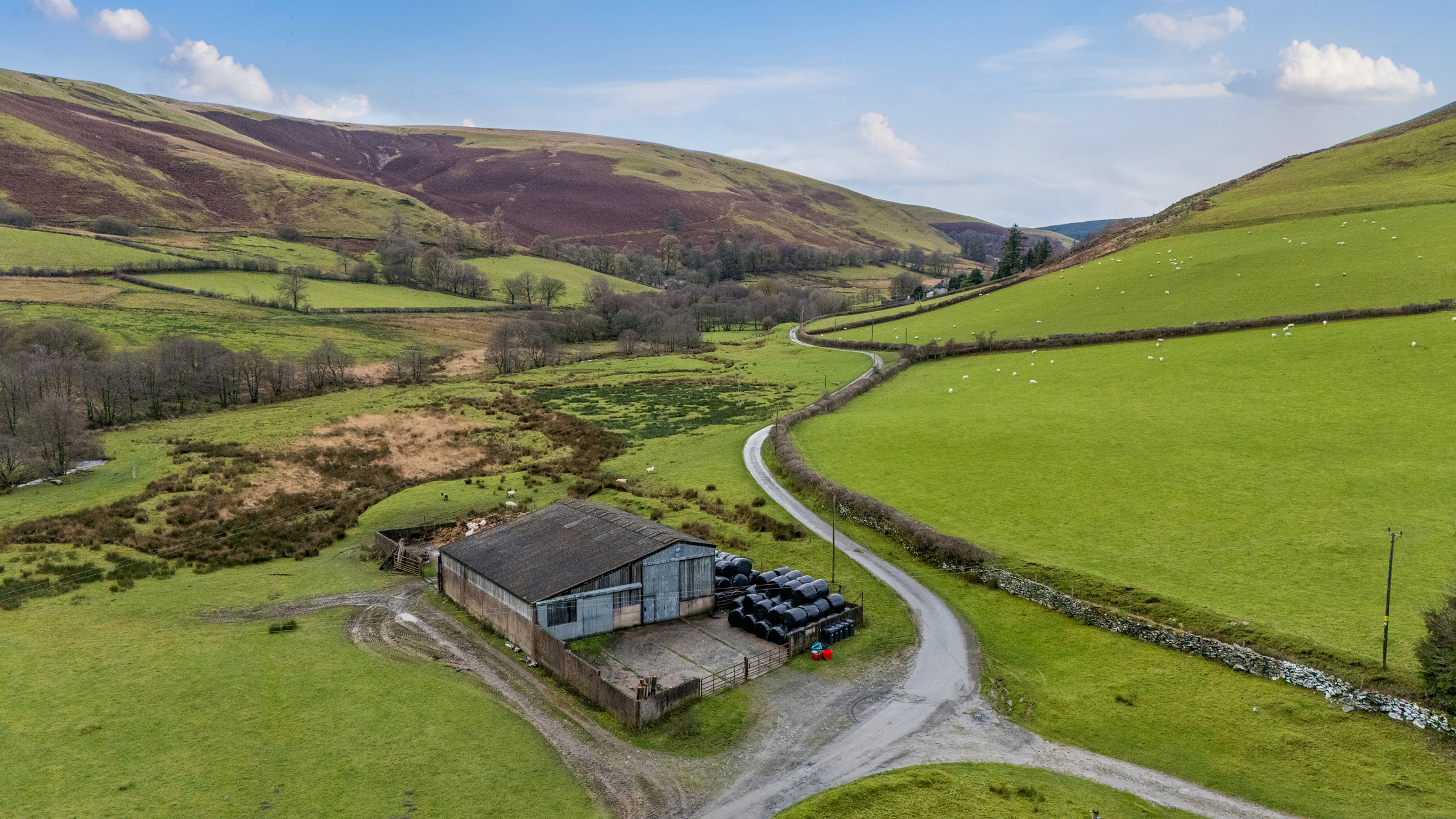 Wye Valley livestock farm on the market with a guide pride of £950,000 ...