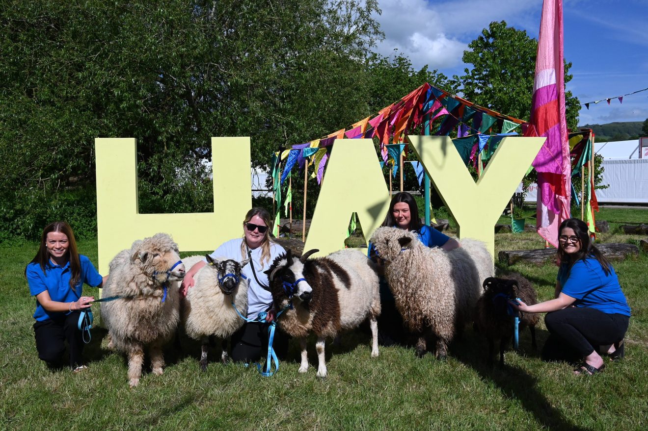 Sheep drovers return to Hay-on-Wye in Royal Welsh Show celebration ...